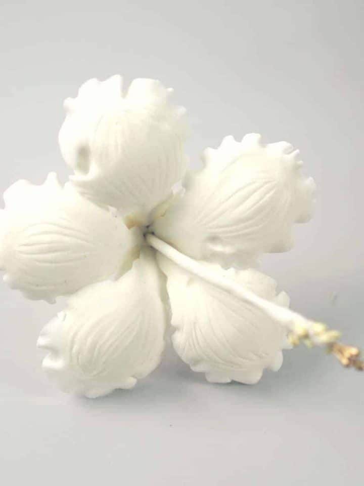 How to Color Gum Paste Flowers | Decorated Treats