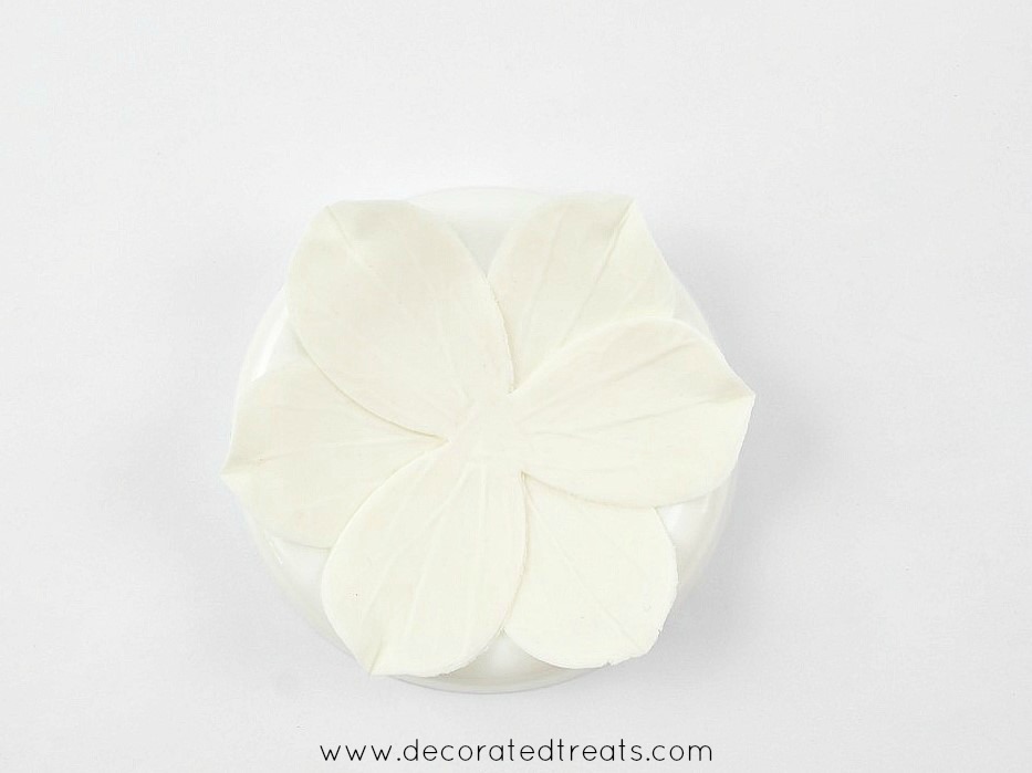 Simple Sugar Flowers (How to Make Gum Paste Flowers) | Decorated Treats