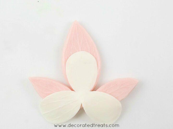 Simple Sugar Flowers - A Step By Step Tutorial | Decorated Treats