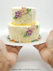 Mini Confetti Cake - A Cute Cake Decorating Idea | Decorated Treats