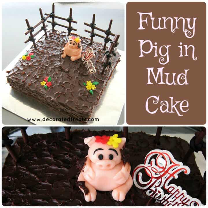 Pig In Mud Cake | Decorated Treats