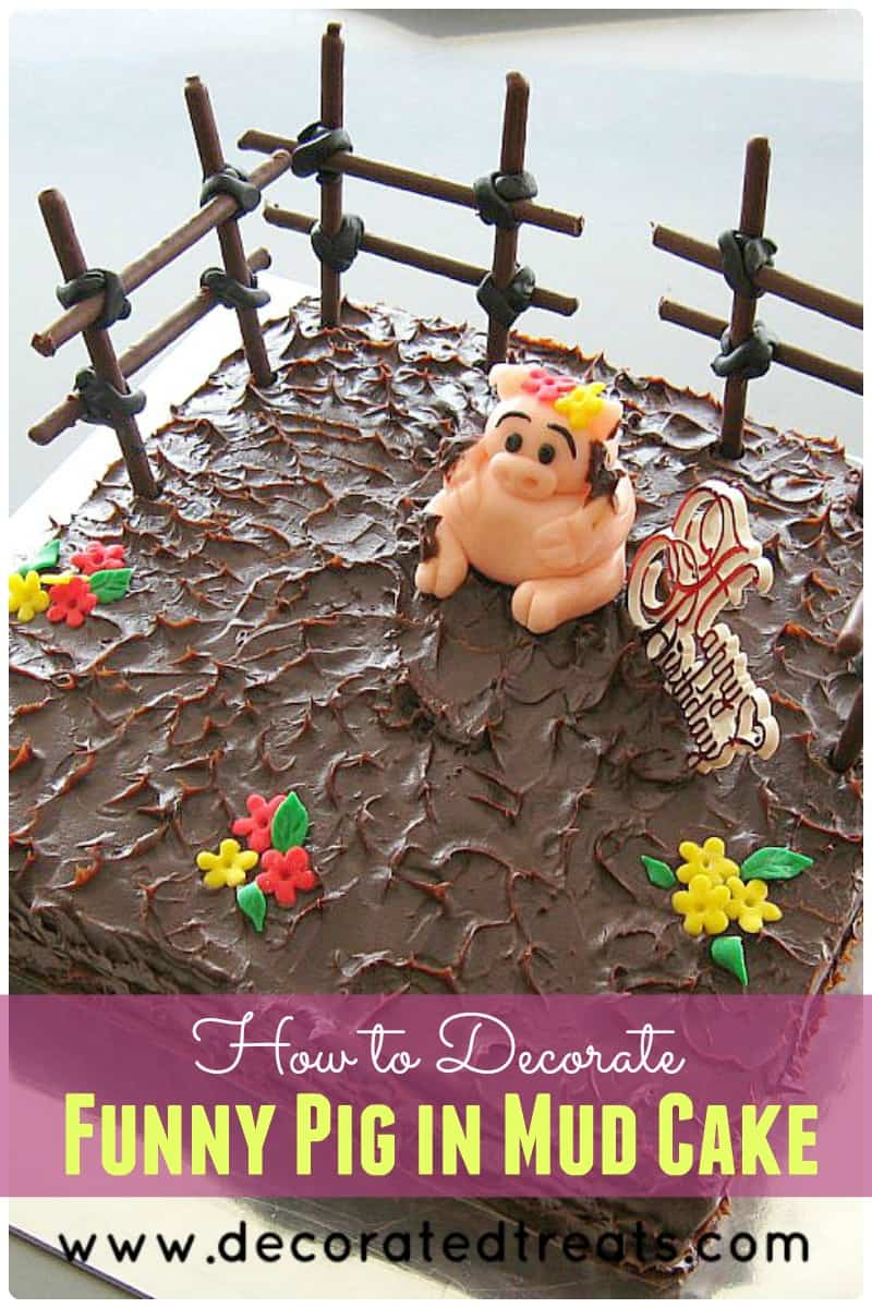 Pig In Mud Cake | Decorated Treats