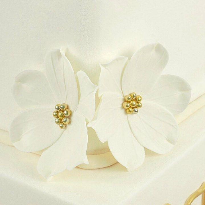 Simple Sugar Flowers (How to Make Gum Paste Flowers) | Decorated Treats