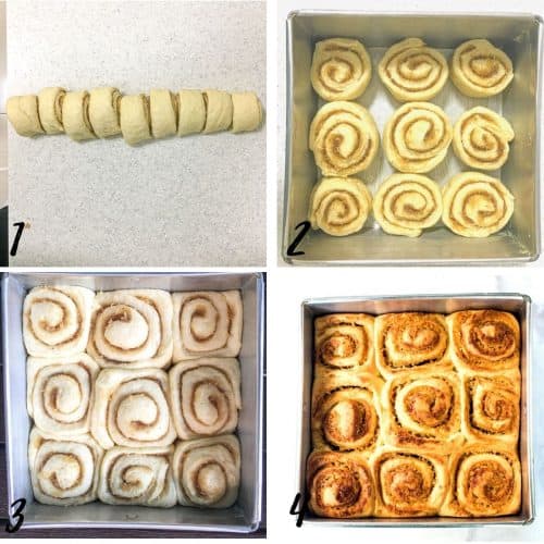 Coconut Rolls with Coconut Glaze | Decorated Treats