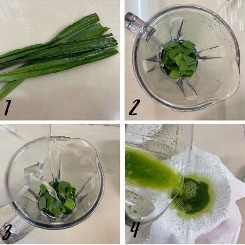 Pandan Syrup (How to Make) | Decorated Treats